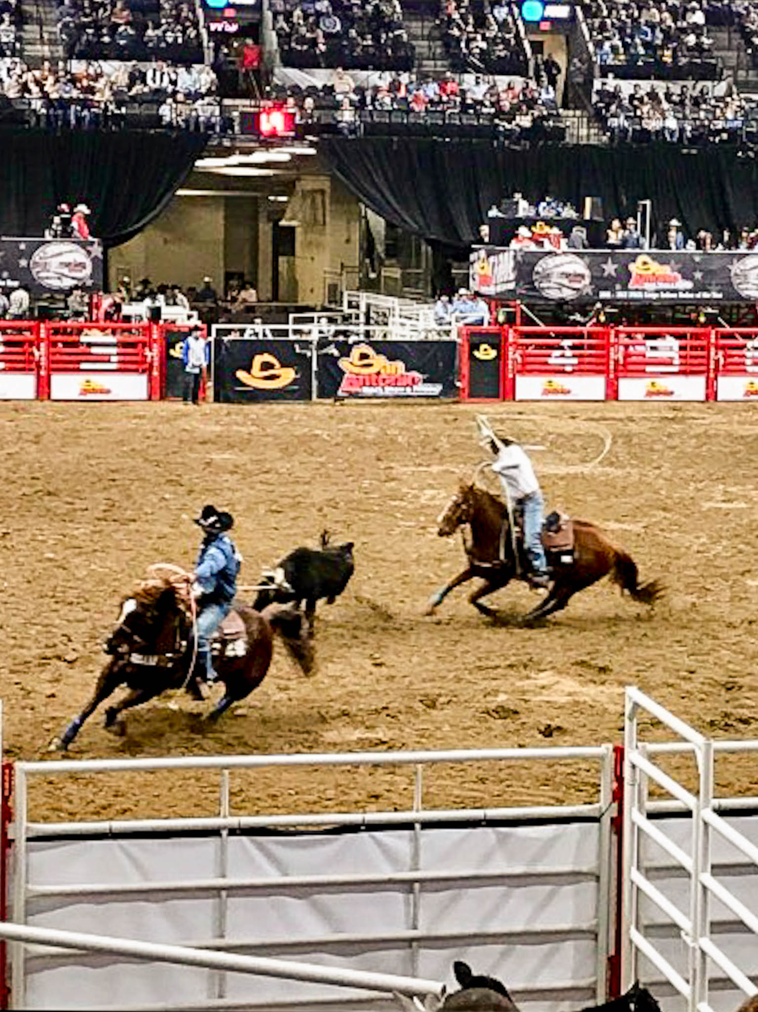 The Best Things to Do at the San Antonio Stock Show & Rodeo - The San ...