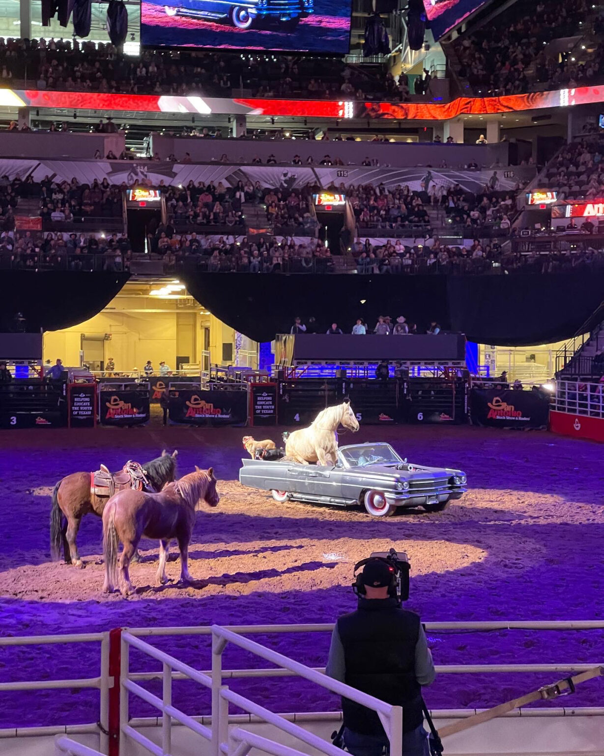 A Complete Guide to the San Antonio Stock Show & Rodeo - The San ...