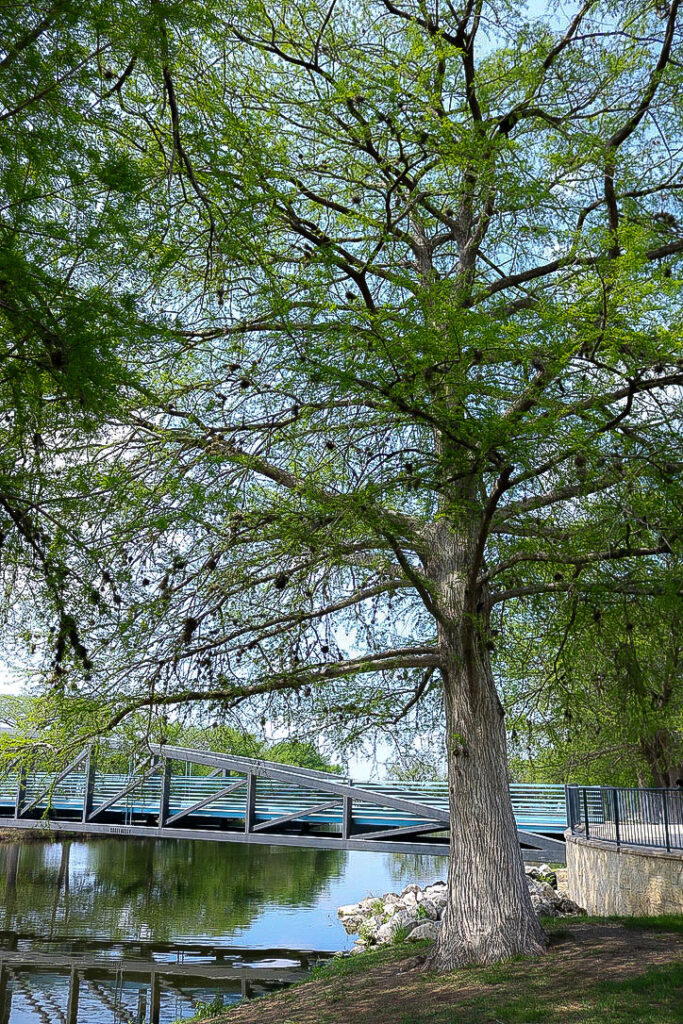 5 Reasons You’ll Love Elmendorf Lake Park in San Antonio - The San ...