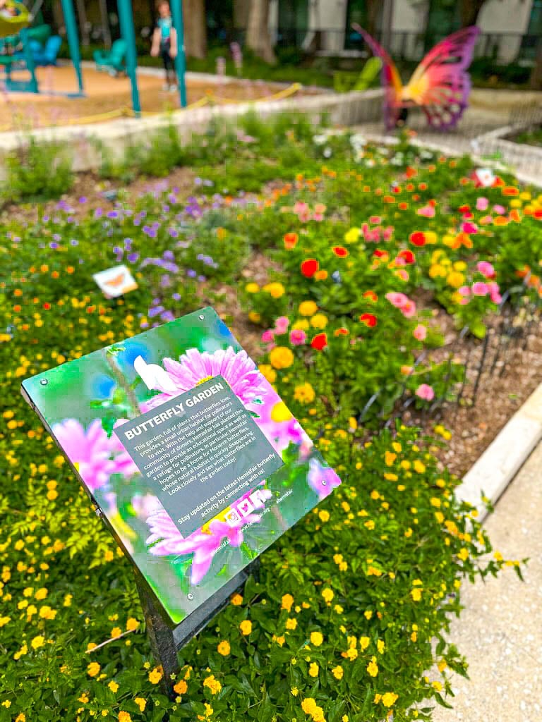 11 Reasons You’ll Love Yanaguana Garden at Hemisfair - The San Antonio ...