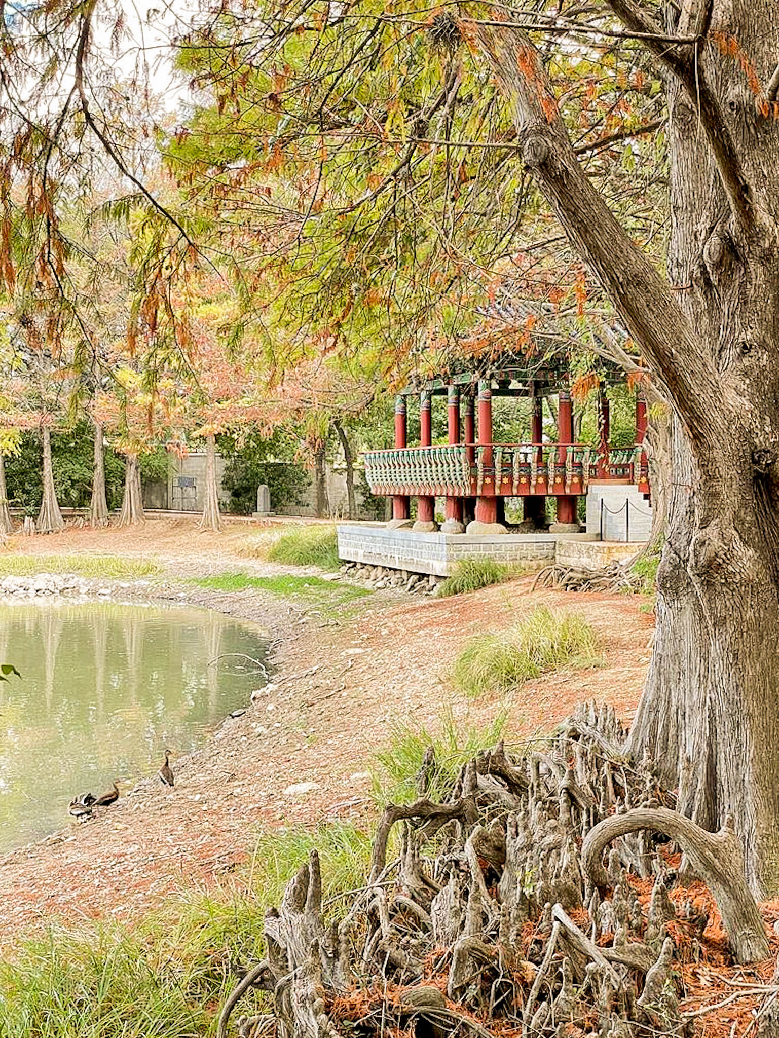 How to Get Outside and Enjoy the Beautiful Weather in San Antonio – 6 ...