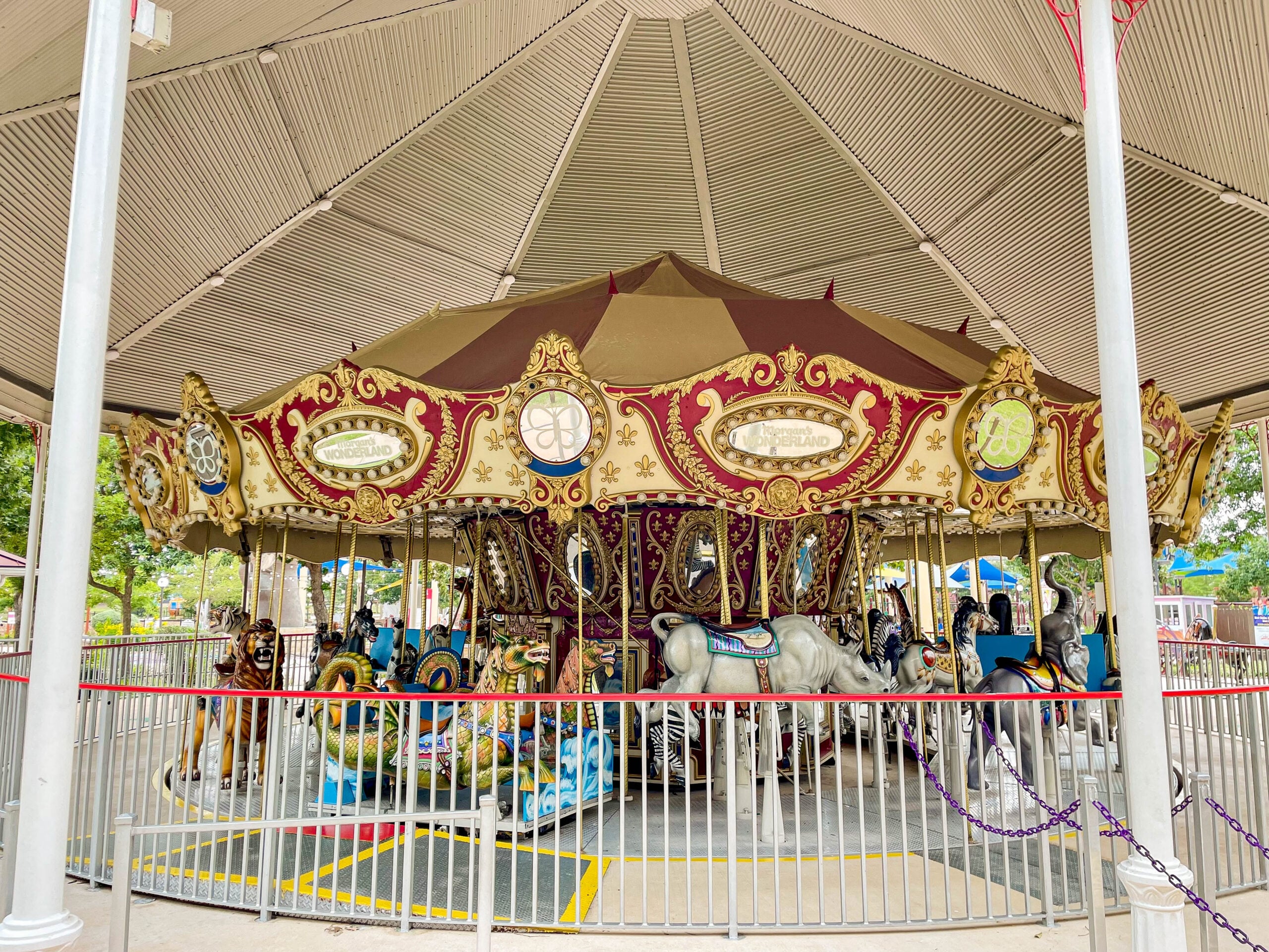 A Complete Guide to Visiting Morgan’s Wonderland - The San Antonio Things