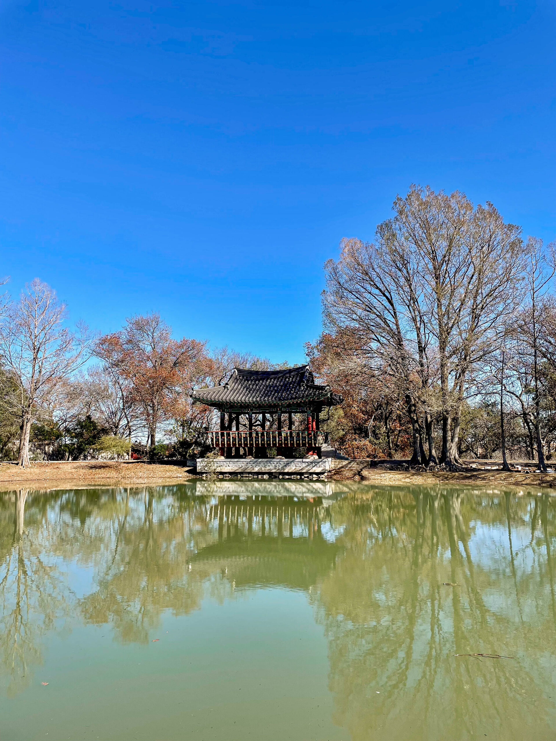 A Visit to Denman Estate Park - The San Antonio Things