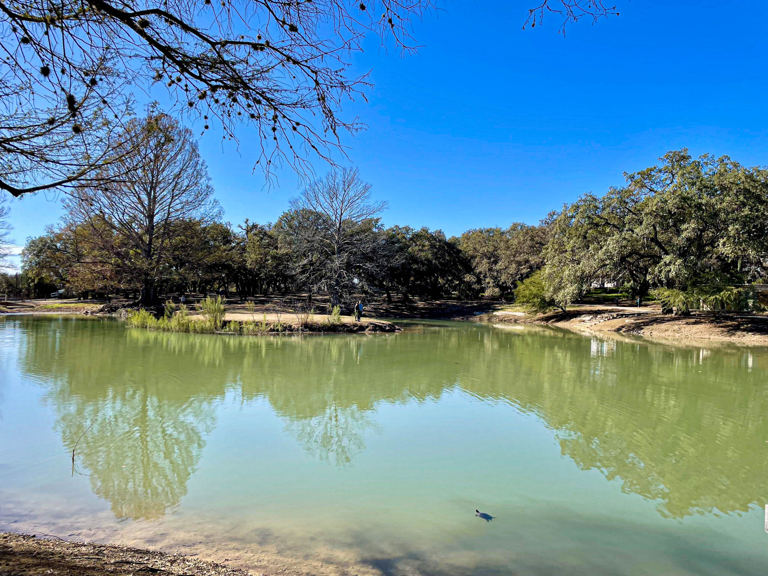A Visit to Denman Estate Park - The San Antonio Things
